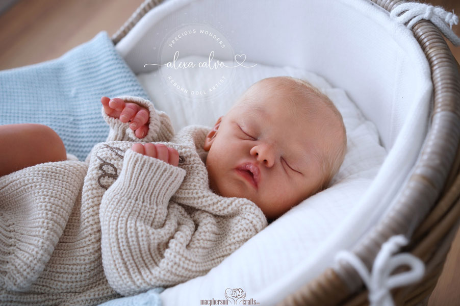 Little Bear by Beatriz Clemente