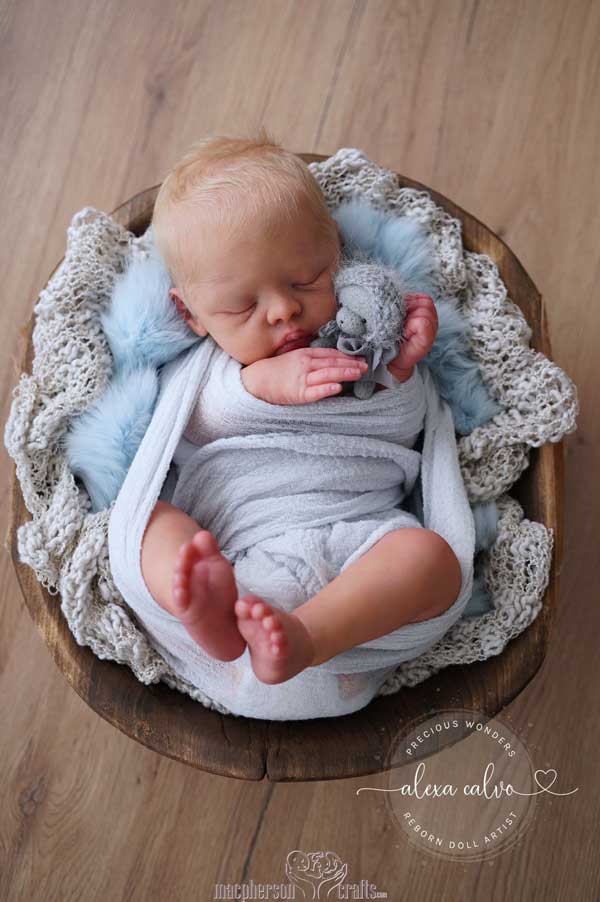 Little Bear by Beatriz Clemente