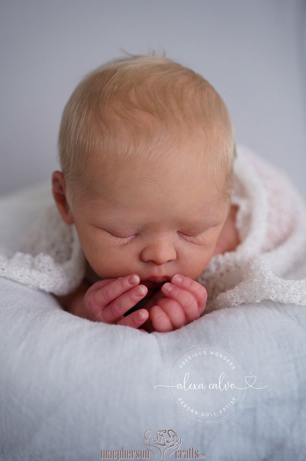 Little Bear by Beatriz Clemente