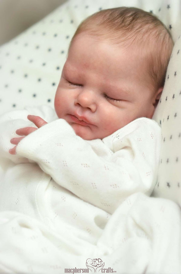 Lovan by Cassie Ann Love