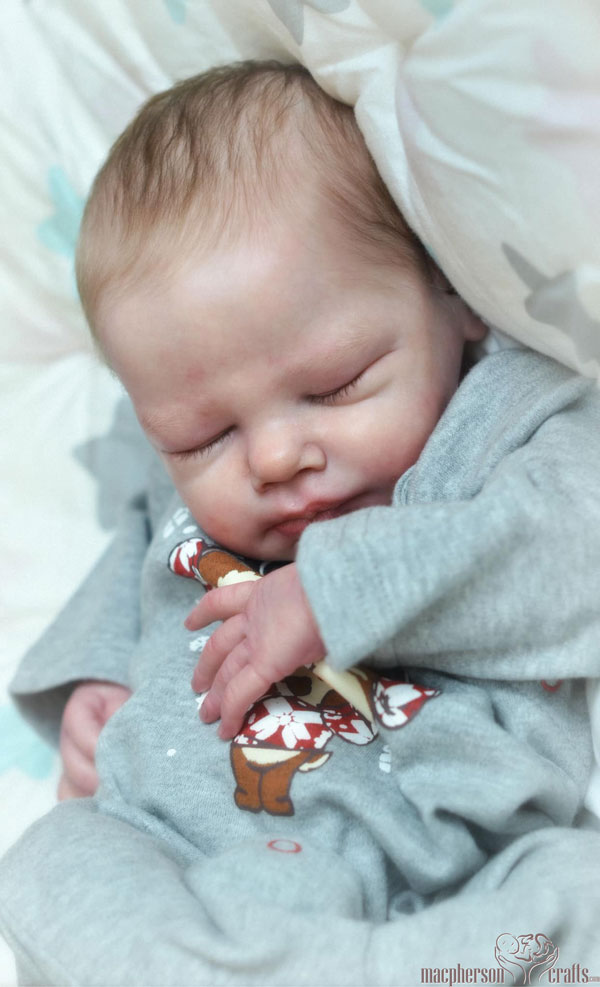 Lovan by Cassie Ann Love