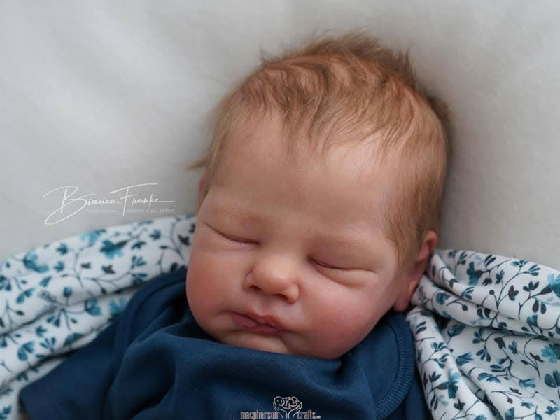 Lovan by Cassie Ann Love