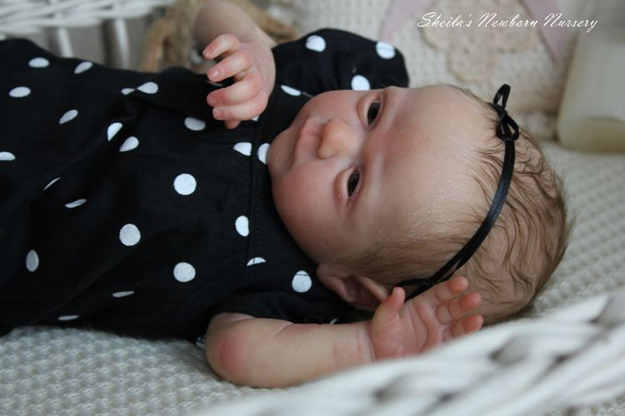 Lovelyn by Sheila Mrofka