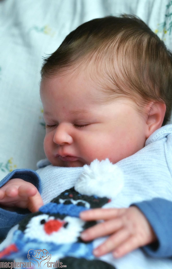 Max by Laura Lee Eagles