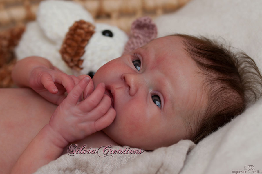 Mayven by Viviane Aleluia