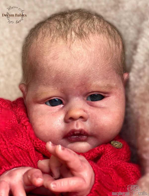 Nicol by Teresa De Castro