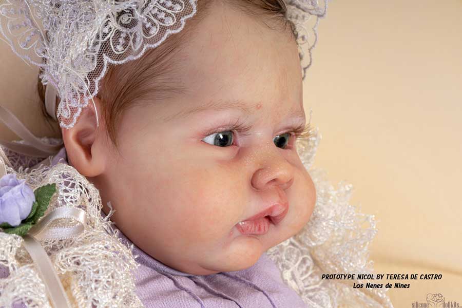 Nicol by Teresa De Castro