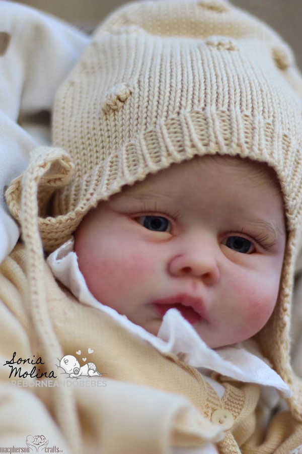 Nicol by Teresa De Castro