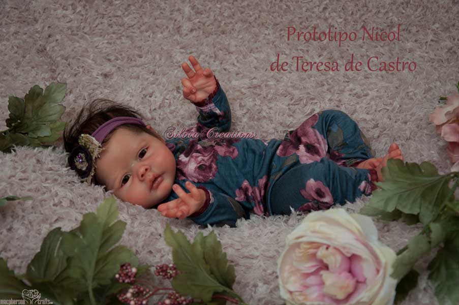 Nicol by Teresa De Castro