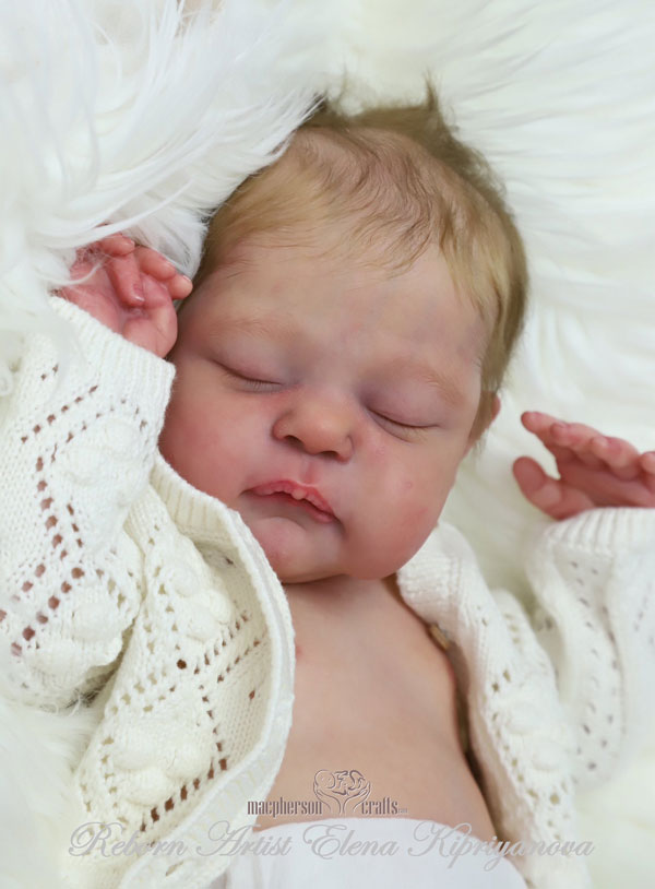 Noa by Cassie Ann Love