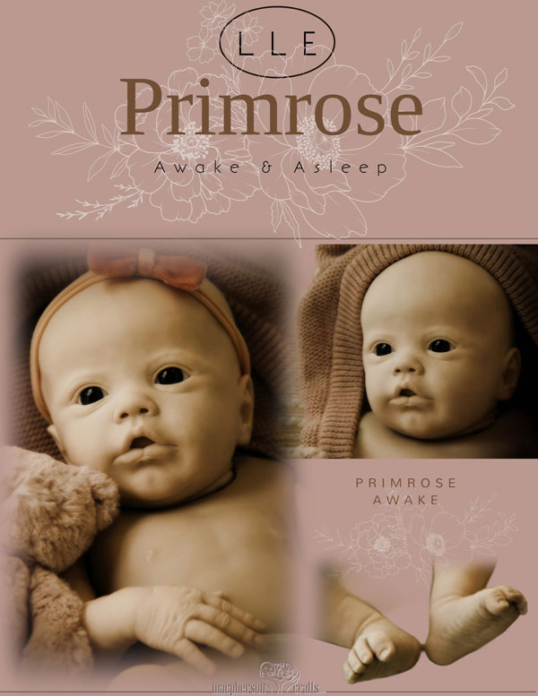 Primrose Awake by Laura Lee Eagles