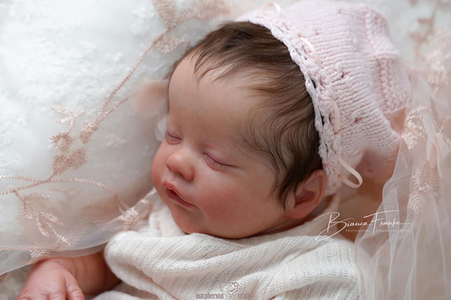 Primrose asleep by Laura Lee Eagles