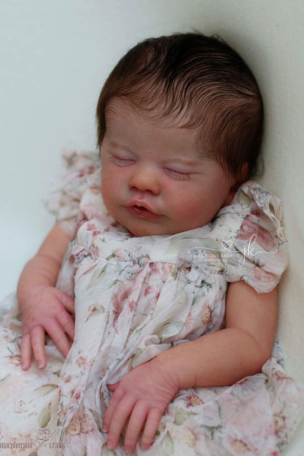Primrose asleep by Laura Lee Eagles