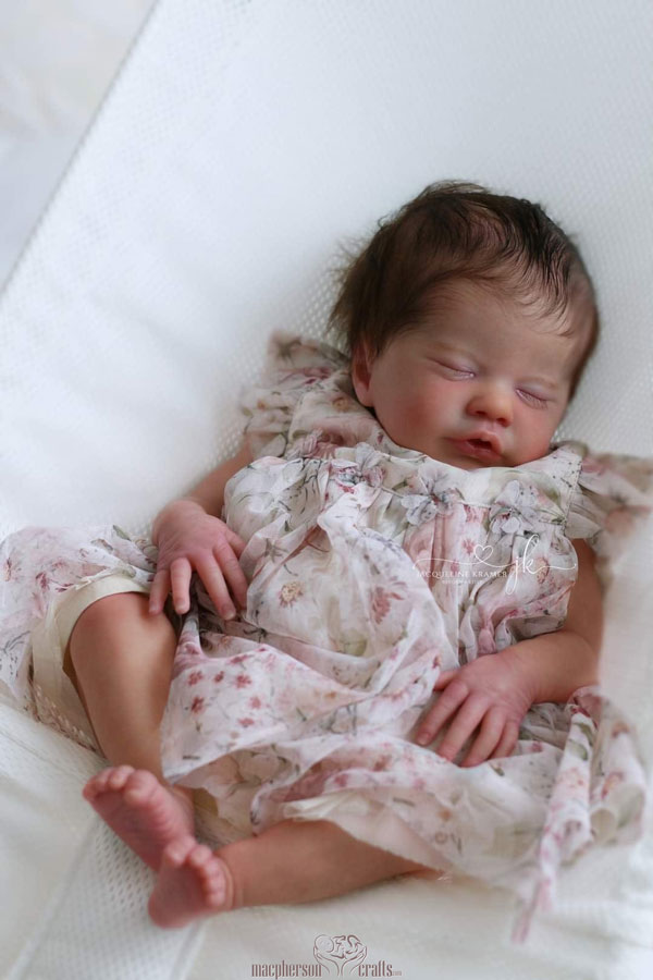 Primrose asleep by Laura Lee Eagles