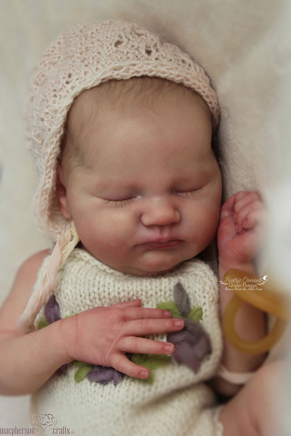 Quinlyn by Bonnie Brown Adrie Stoete