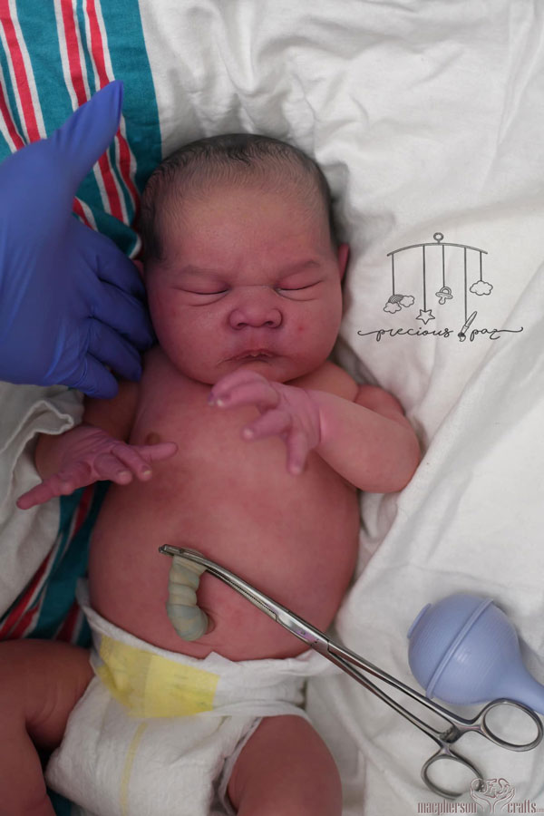 Ravy by Priscila Lopez