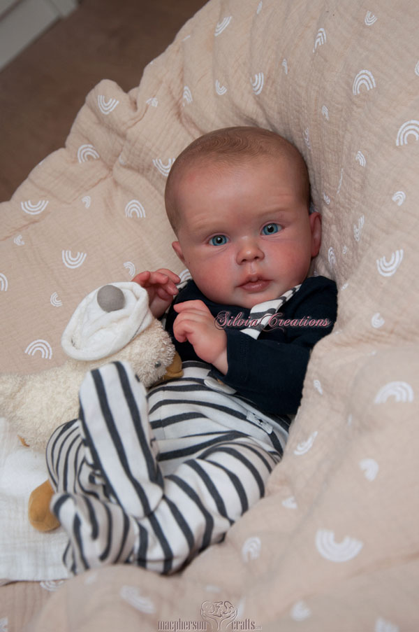 Roberto by Mayra Garza