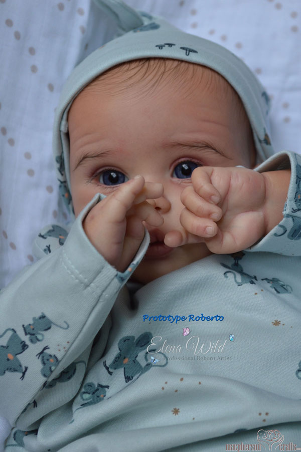 Roberto by Mayra Garza