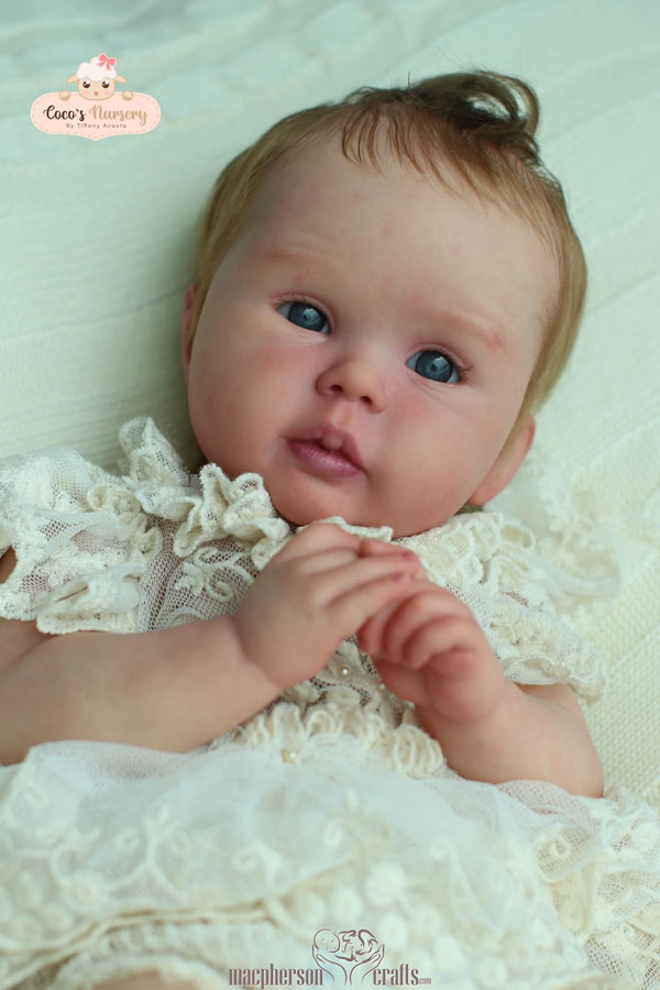 Roberto by Mayra Garza