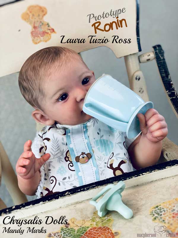 Ronin by Laura Tuzio Ross