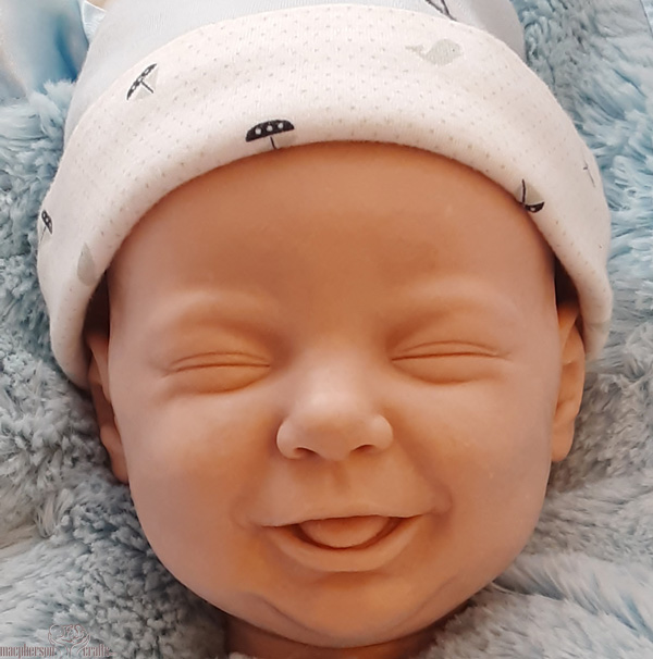 Sammy by Ann Timmerman