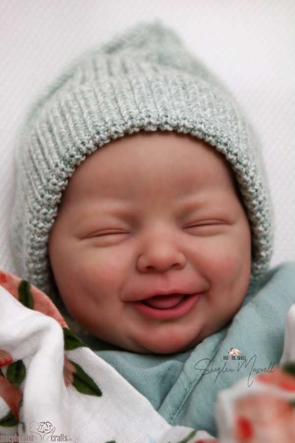 Sammy by Ann Timmerman