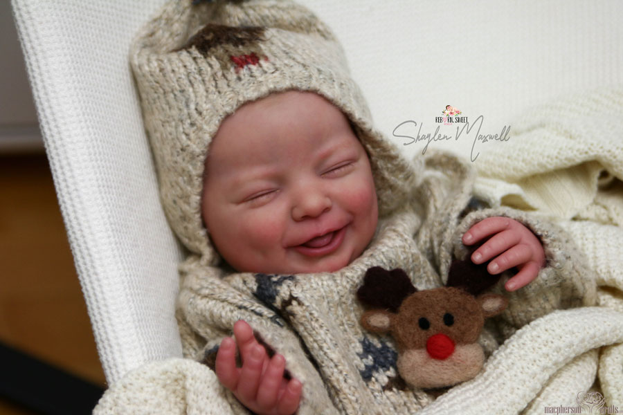 Sammy by Ann Timmerman