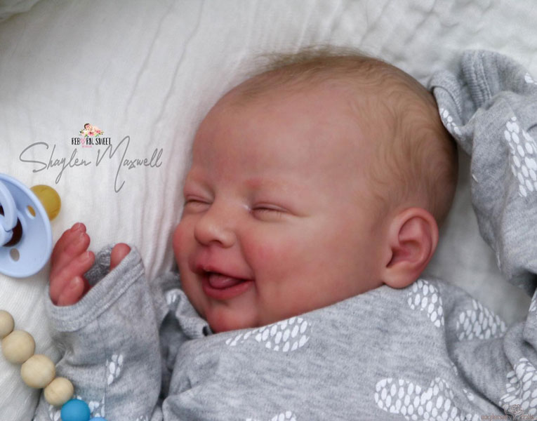 Sammy by Ann Timmerman