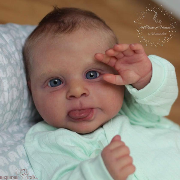 Sebby by Cassie Brace