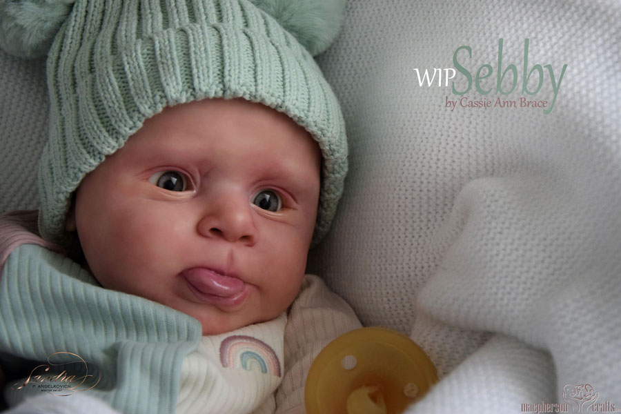 Sebby by Cassie Brace