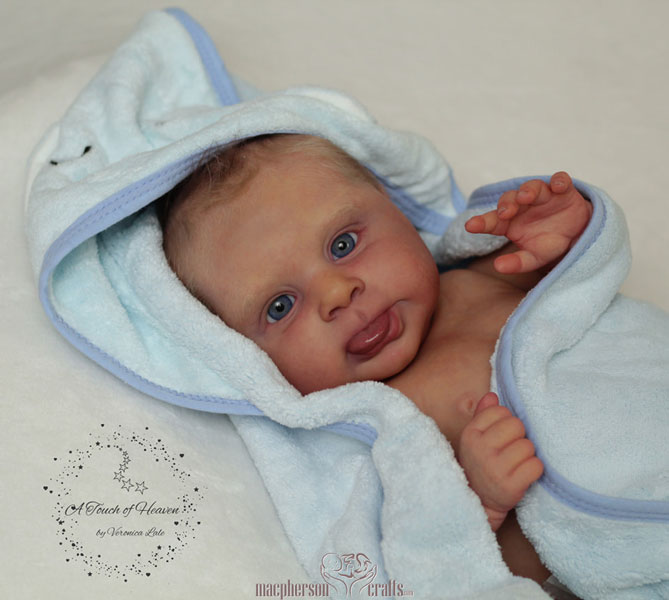 Sebby by Cassie Brace