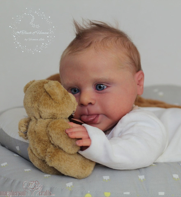 Sebby by Cassie Brace