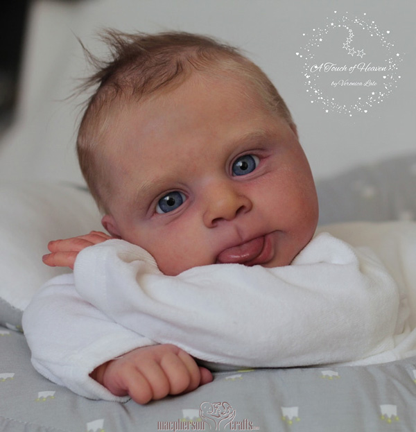 Sebby by Cassie Brace