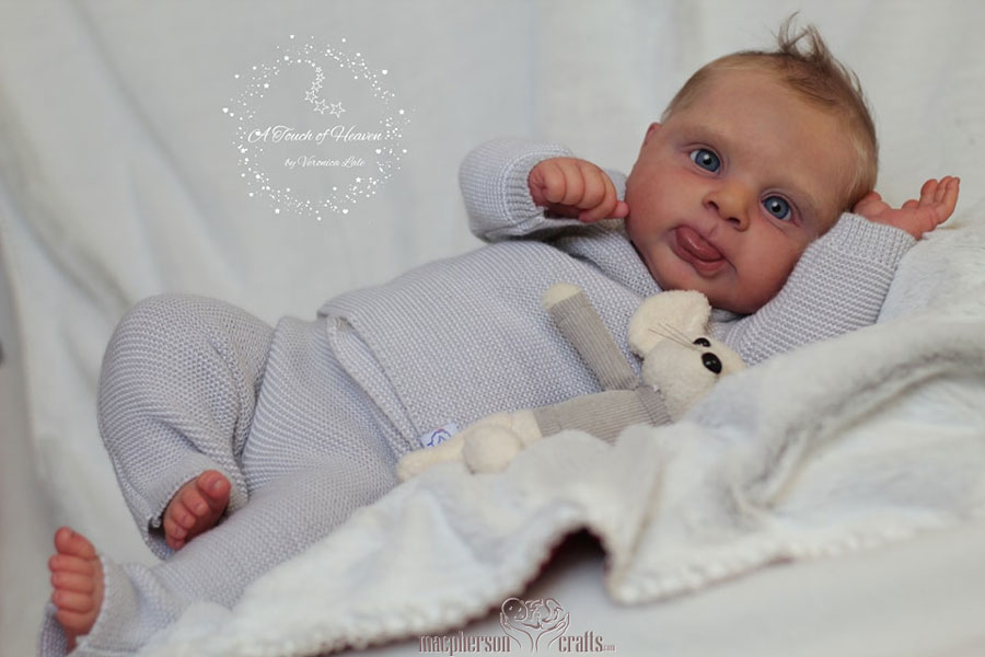 Sebby by Cassie Brace