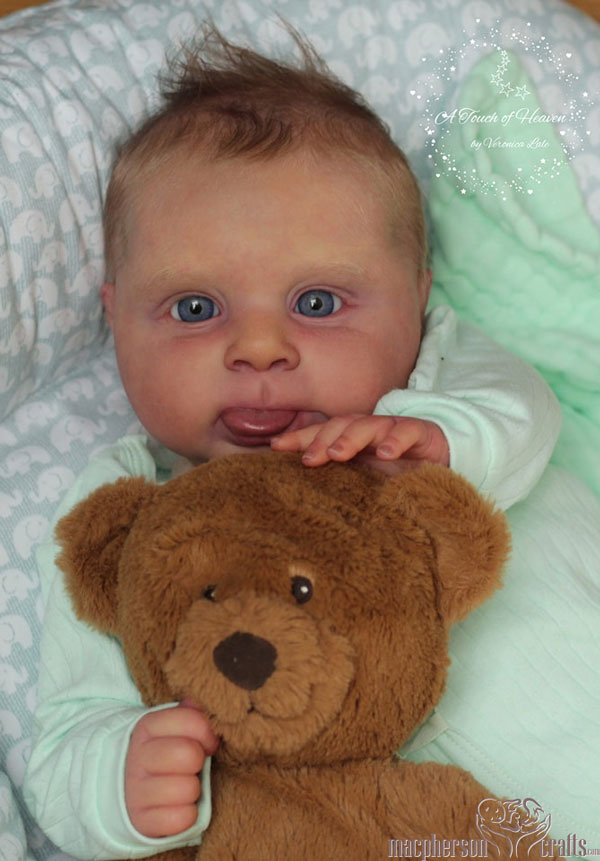 Sebby by Cassie Brace