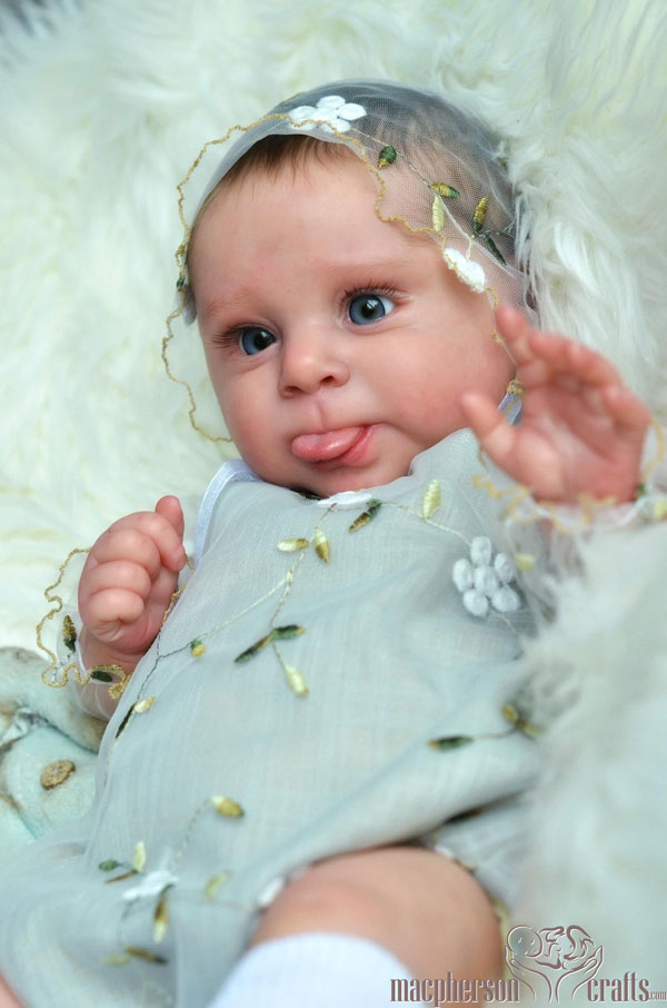 Sebby by Cassie Brace