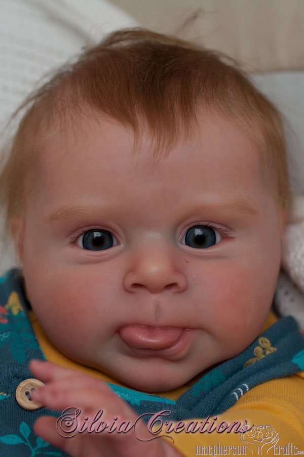 Sebby by Cassie Brace