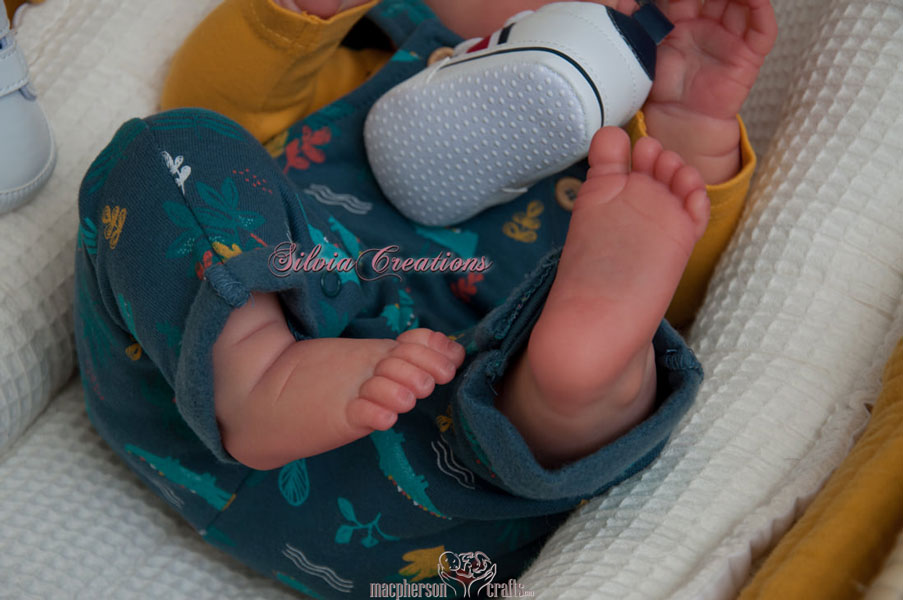 Sebby by Cassie Brace