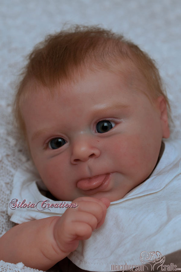 Sebby by Cassie Brace