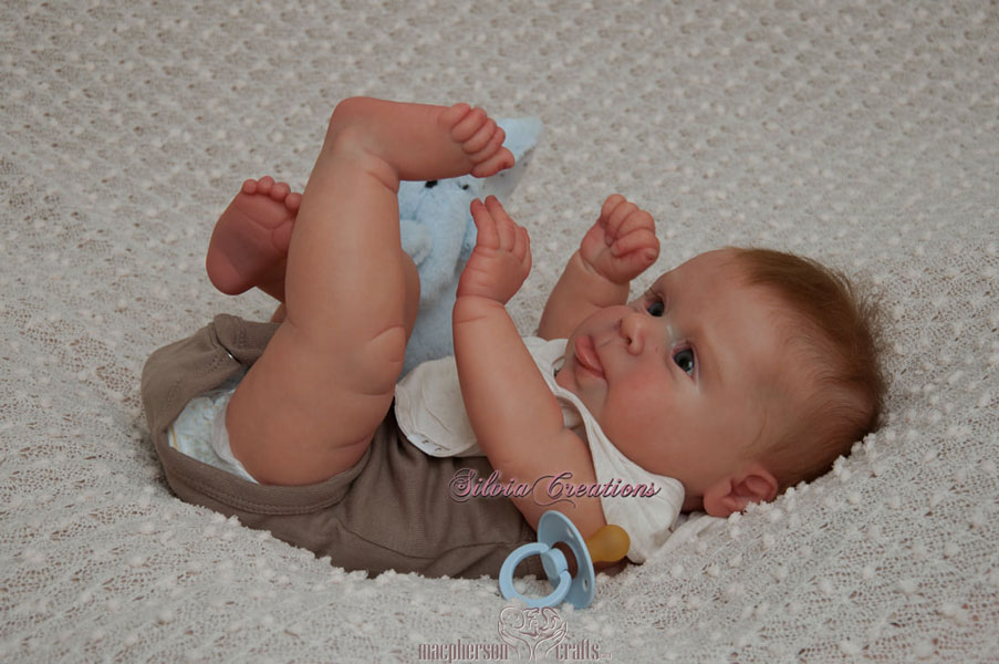 Sebby by Cassie Brace