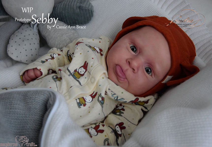 Sebby by Cassie Brace