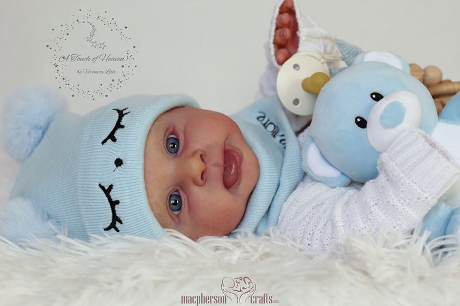 Sebby by Cassie Brace