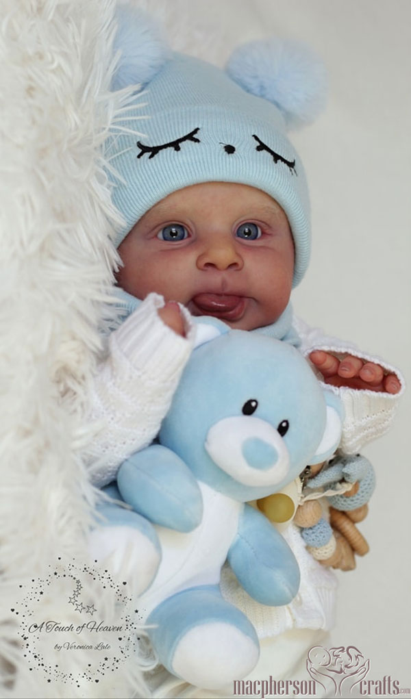 Sebby by Cassie Brace