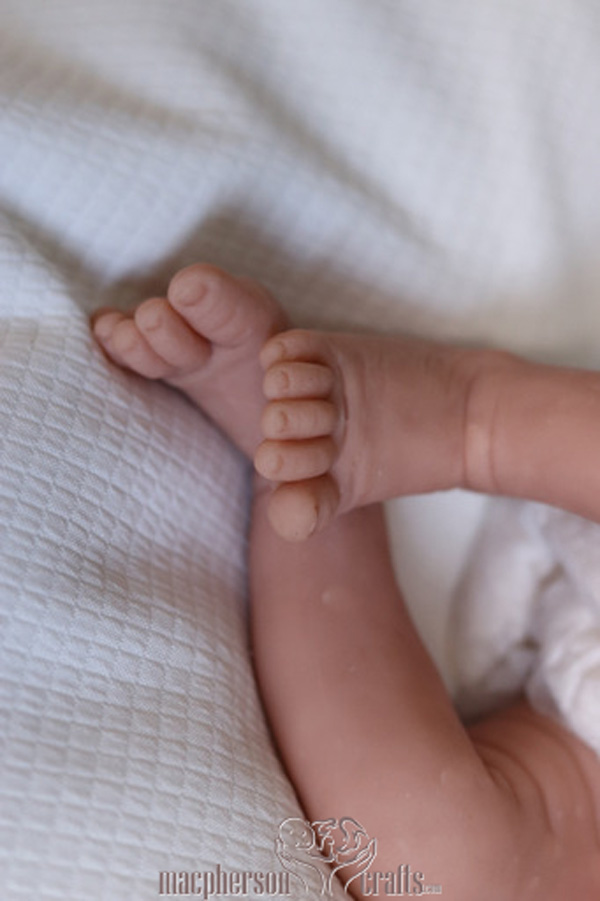 Serena by Tay Freitas