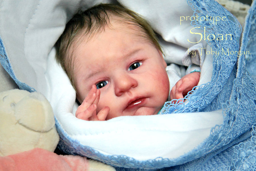 Sloan by Toby Morgan