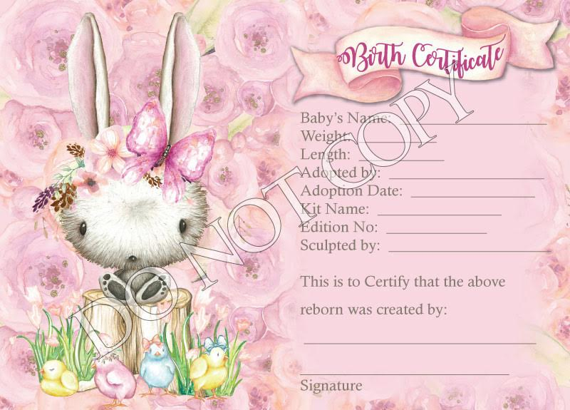 Reborn Doll Birth Certificate ~ Girl ~Sweet Bunny and Chicks