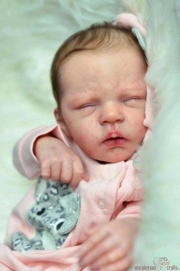 Talula by Severine Piret