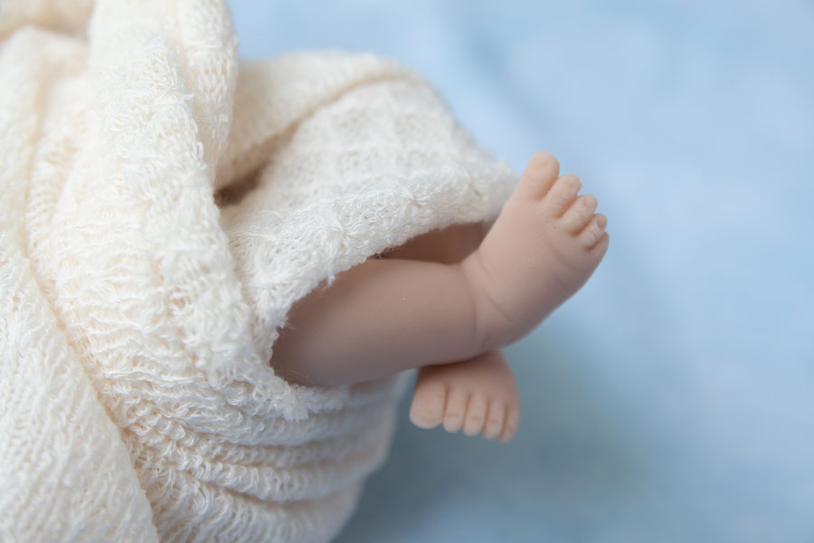 Tanner by Dawn McLeod