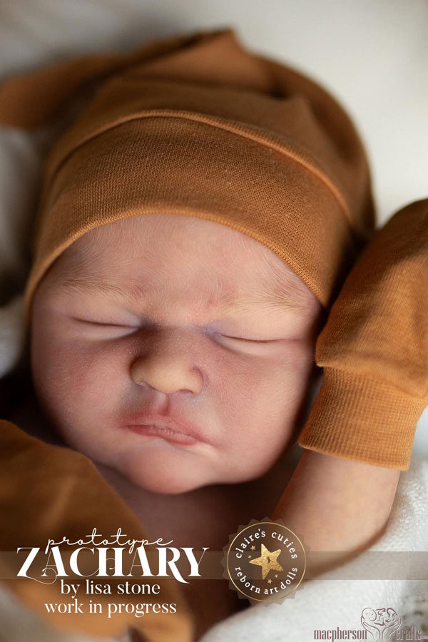 Zachary by Lisa Stone