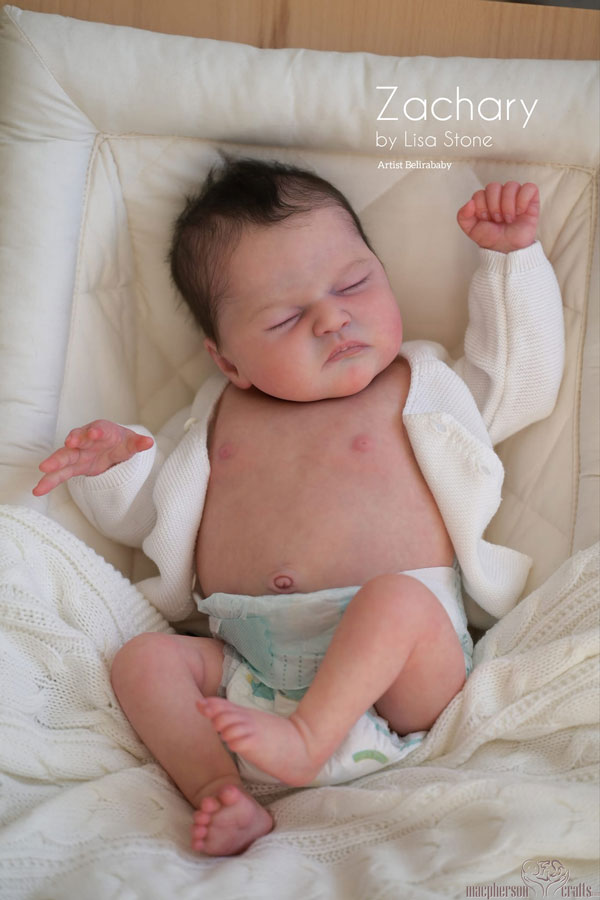 Zachary by Lisa Stone